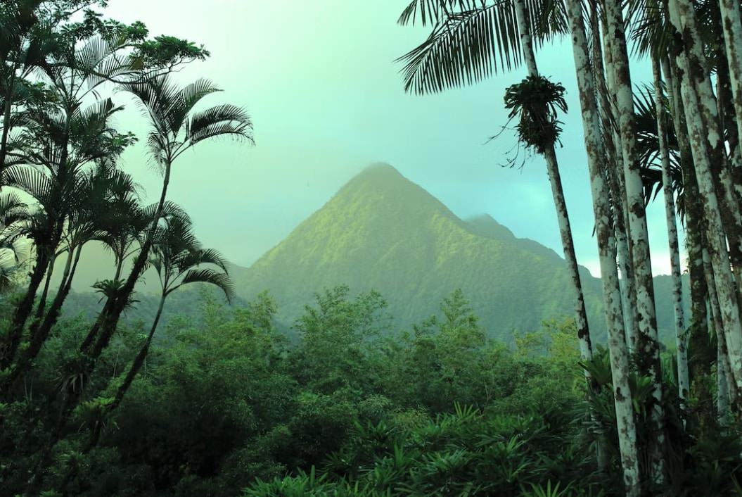 Le Morne-Vert : Découvrez Le Morne-Vert (97226) en Martinique